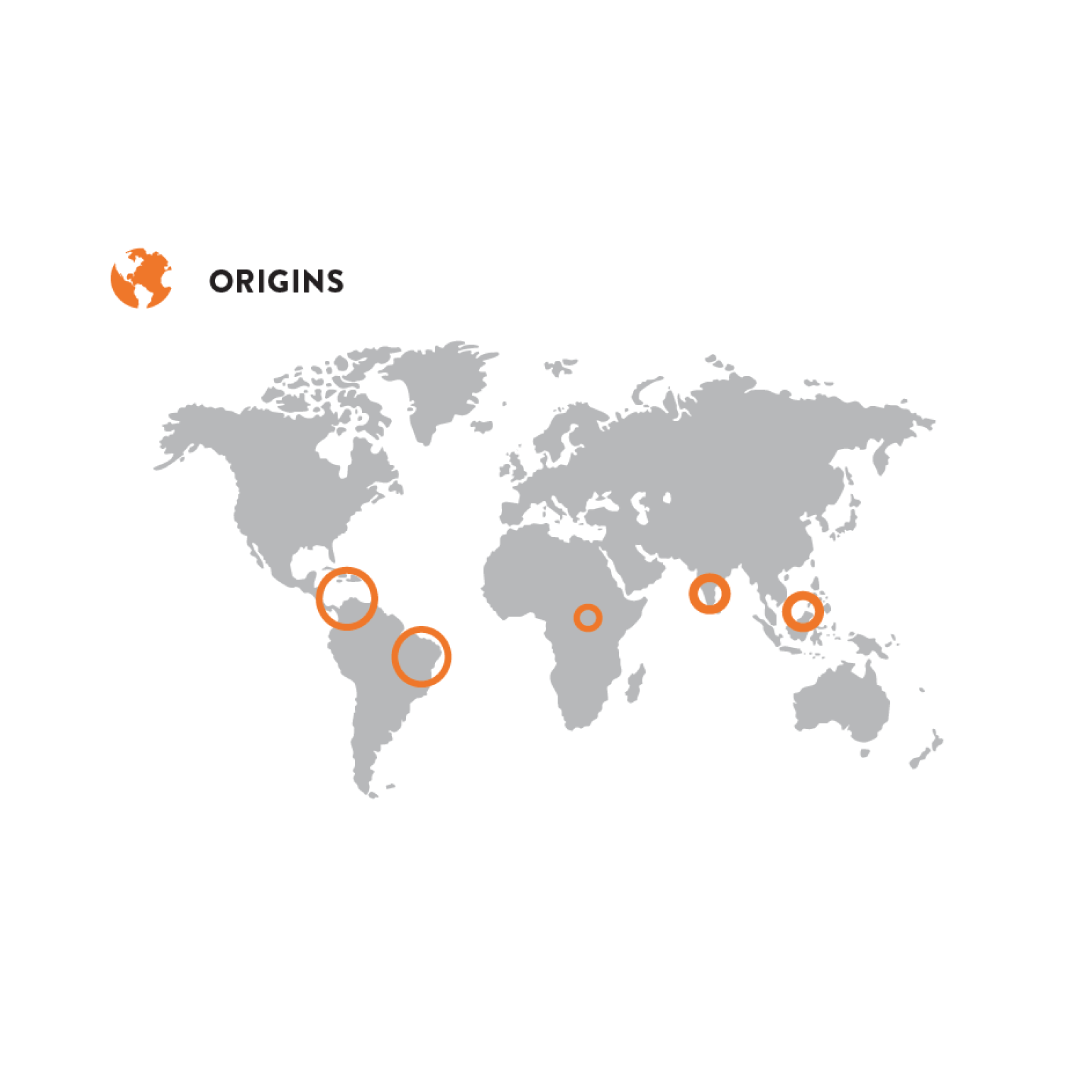 Bristot Crema Oro Beans - 500g Fresh Pack | Cafesti Coffee UAE